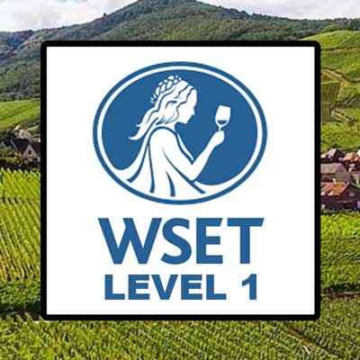 WSET Wine Courses in Calgary - Village Craft Winemaker